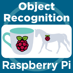 Object and Animal Recognition With Raspberry Pi and OpenCV - Video Tutorial Australia