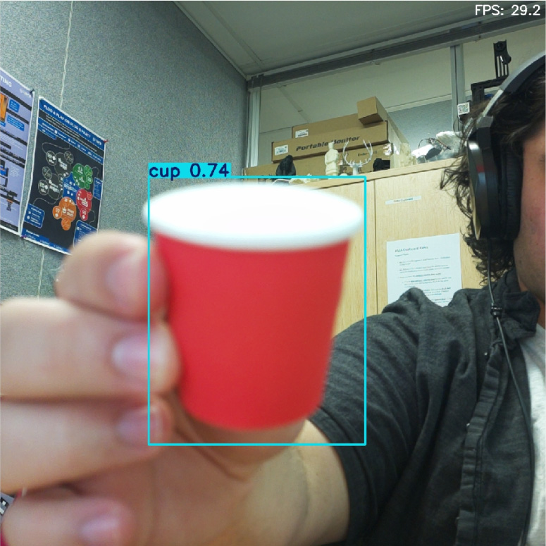 Getting Started with YOLO Object and Animal Recognition on the Raspberry Pi - Tutorial Australia
